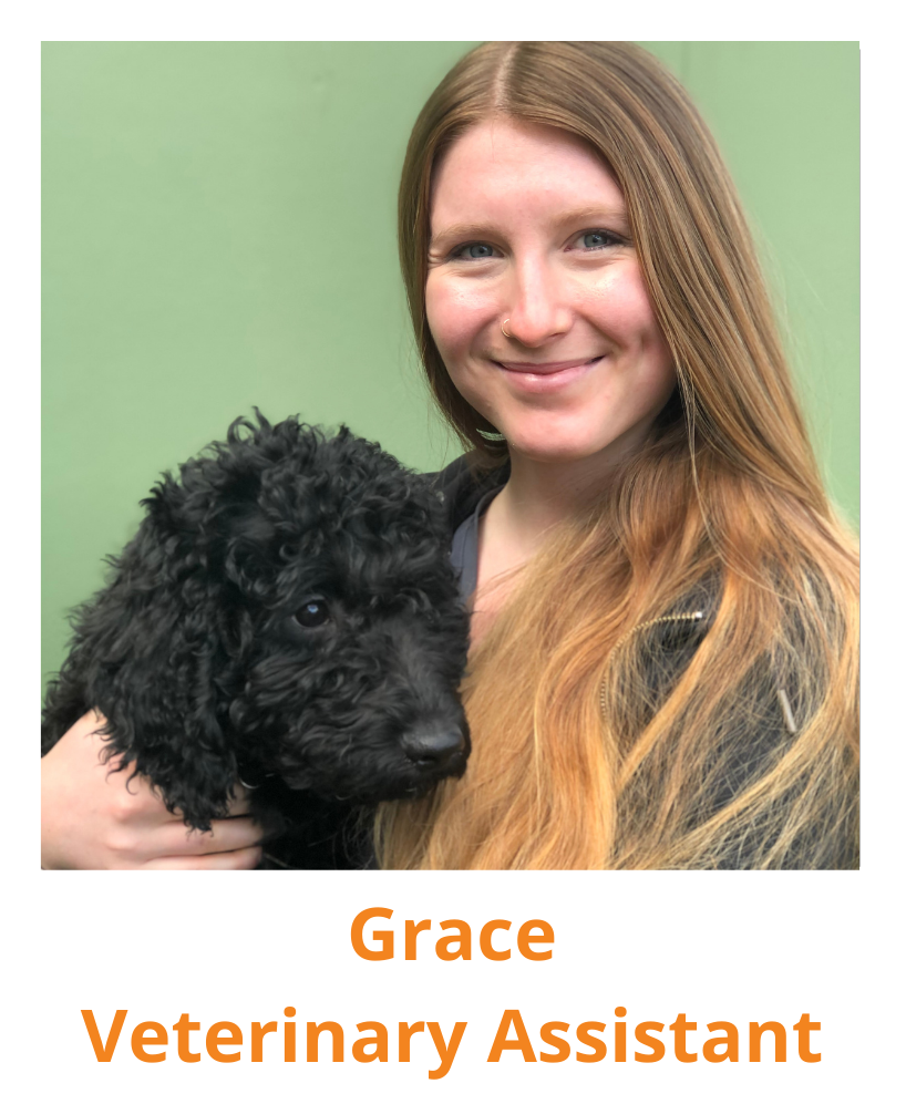 Our Team | Cascade Heights Veterinary Center